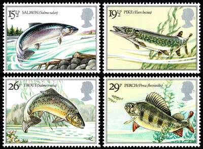 1983 British River Fish